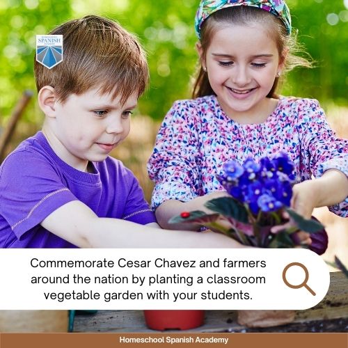 11 Activities for Celebrating Cesar Chavez Day in Your Spanish Class