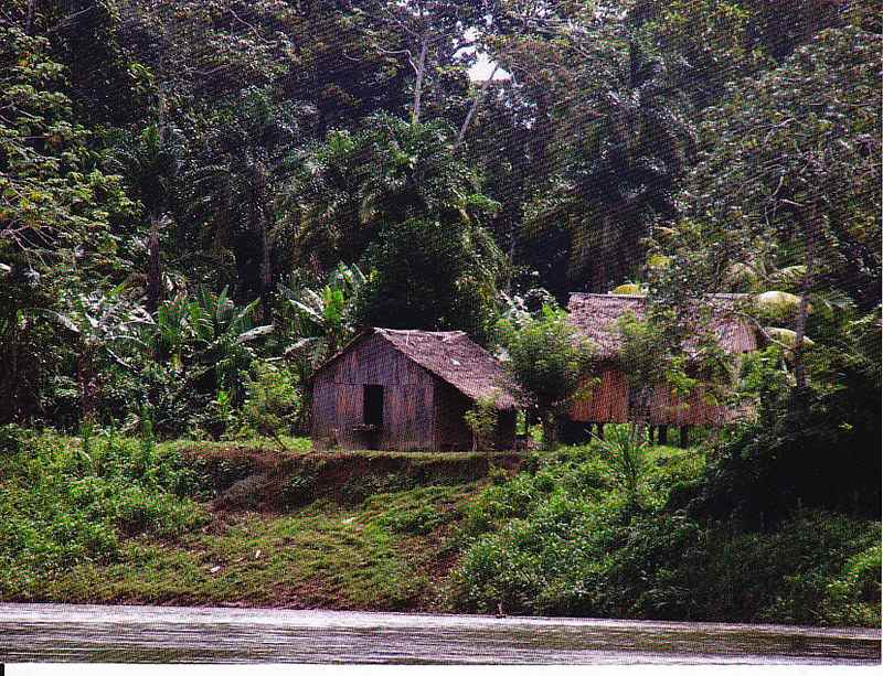 A Traveler’s Guide to Honduras: Culture, History, and Amazing Places to ...