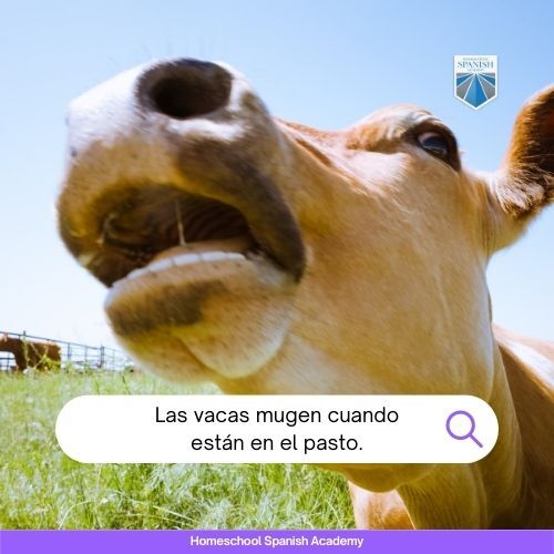Animal Sounds (Free Spanish Lessons for Kids)