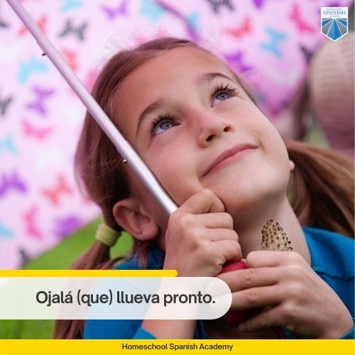 Easy Guide to the WEIRDO Subjunctive