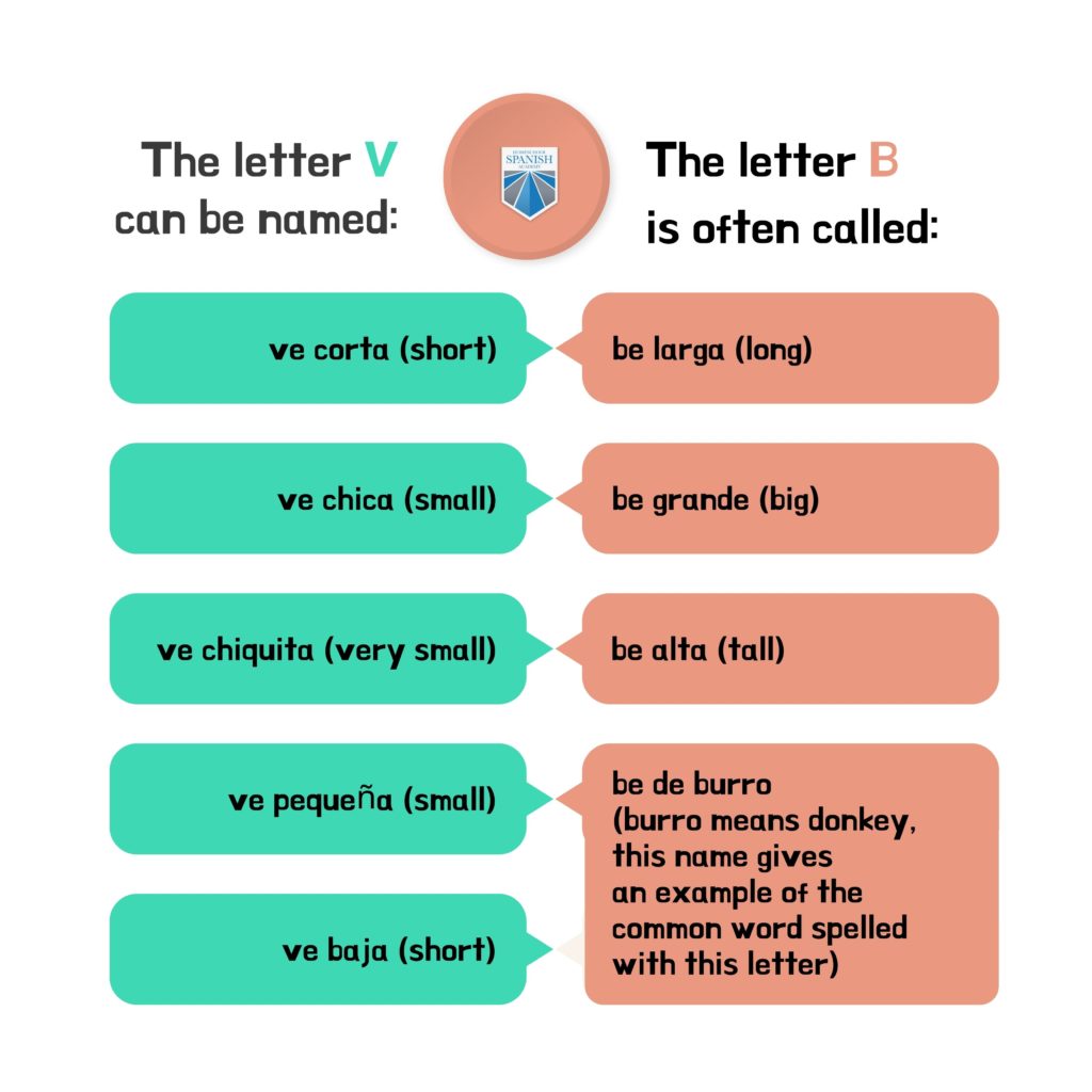 Spanish Spelling With B and V: Word List, Verbs, and Pronunciation With ...