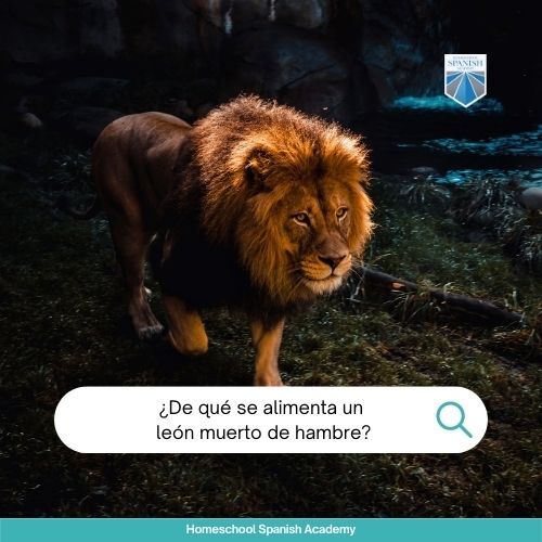 50 Spanish Riddles for Learners of Every Level [+ FREE PDF]