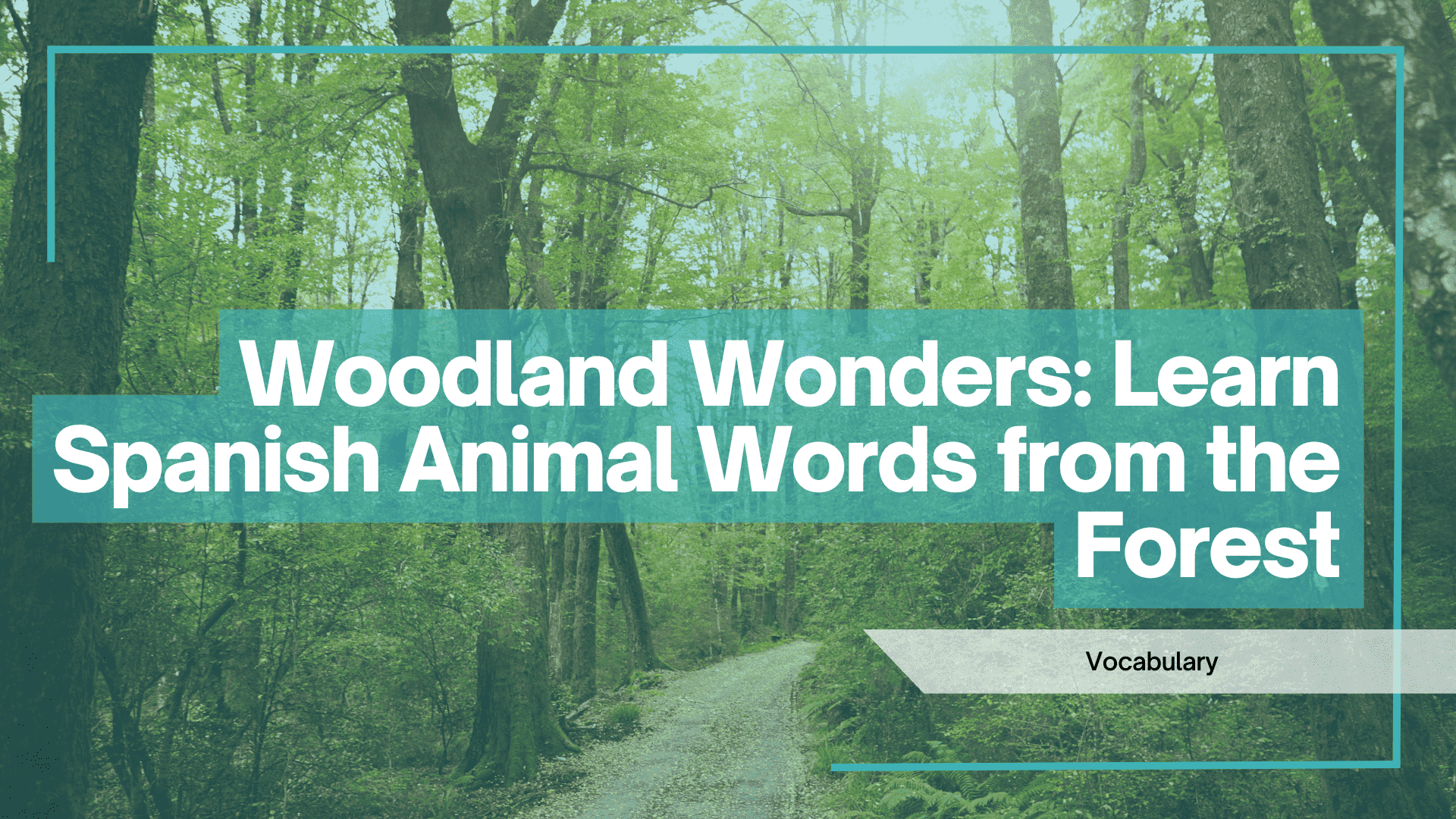 Woodland Wonders: Learn Spanish Animal Words from the Forest