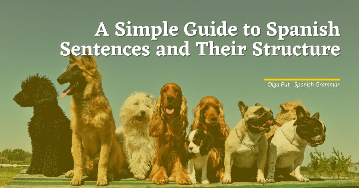 A Simple Guide to Spanish Sentence Structure and Order