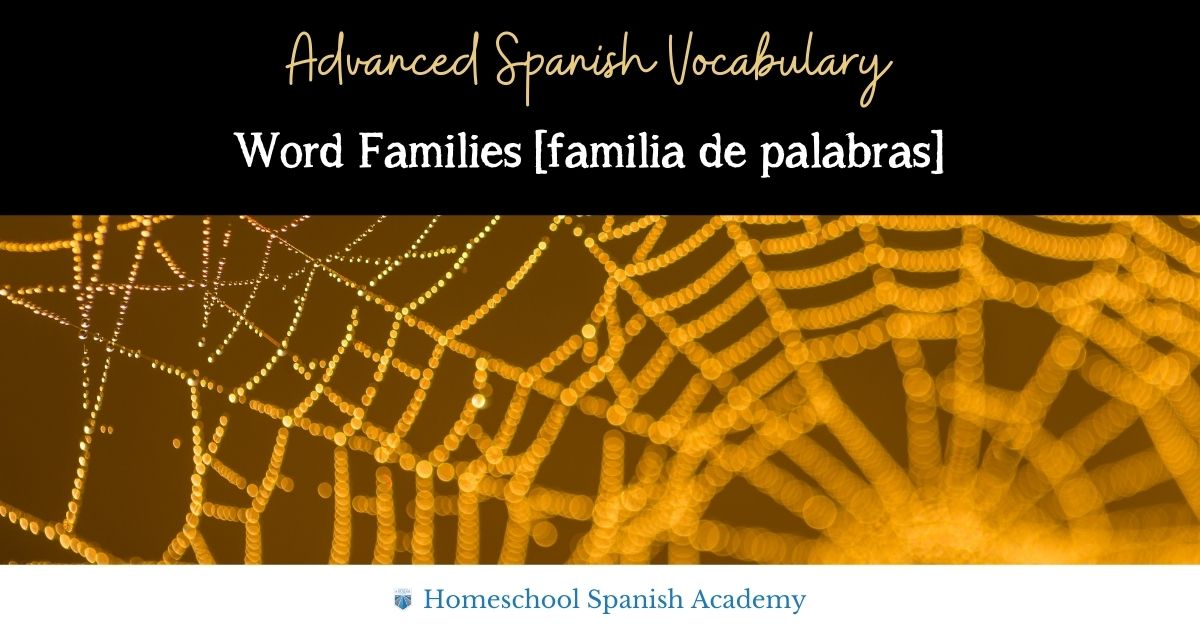 Advanced Spanish Vocabulary: Word Families [familia de palabras]