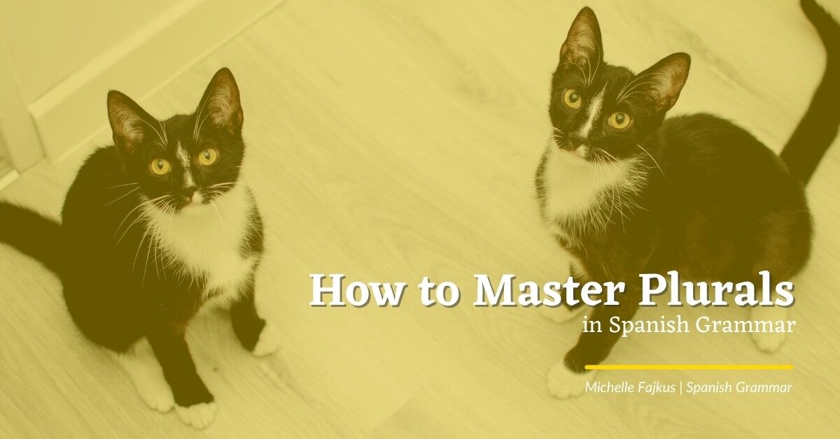 How to Master Plurals in Spanish Grammar