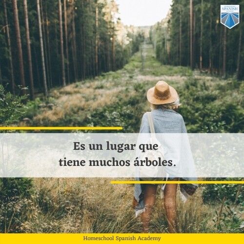 Is it 'Que' or 'De Que'? Find Out Which to Use and When