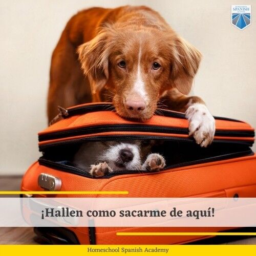 Hallar Conjugation: Free Spanish Lesson, Quiz, and PDF