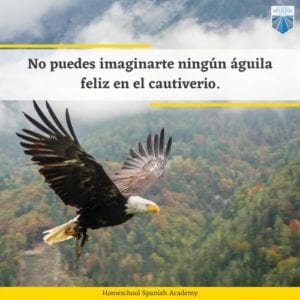 Ningun vs Ninguno: What's the Difference?