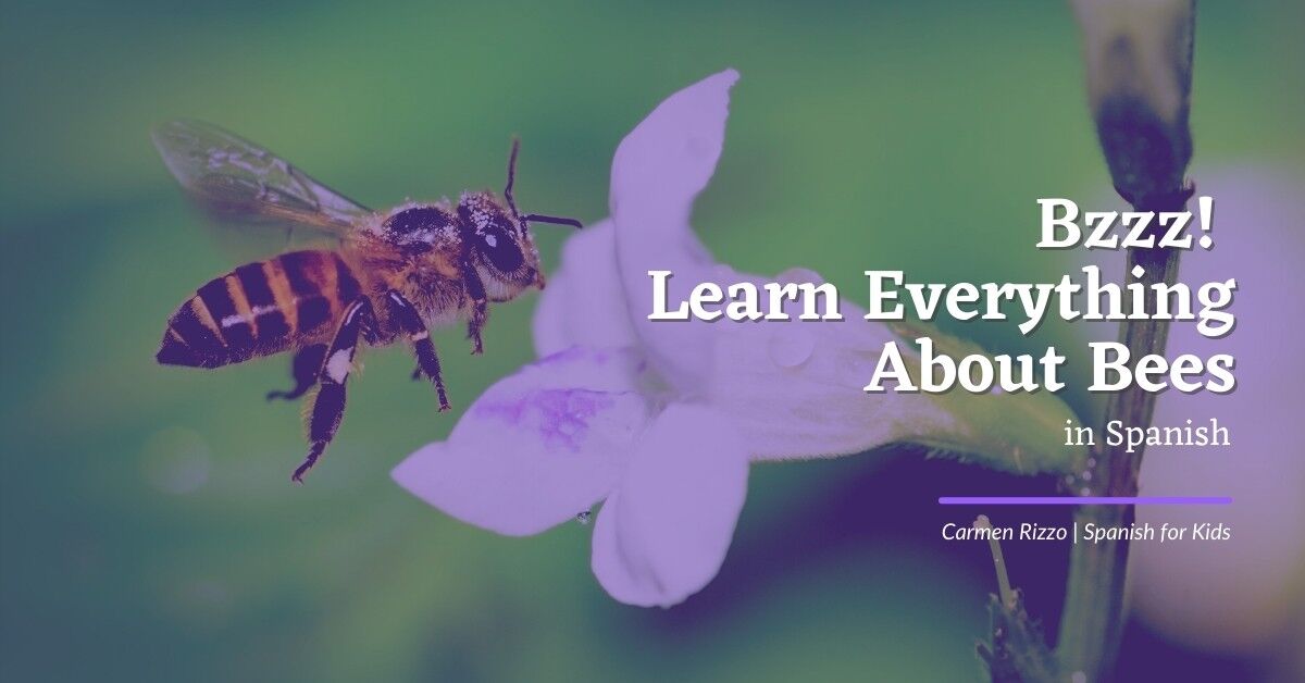 Bzzz! Learn Everything About Bees in Spanish