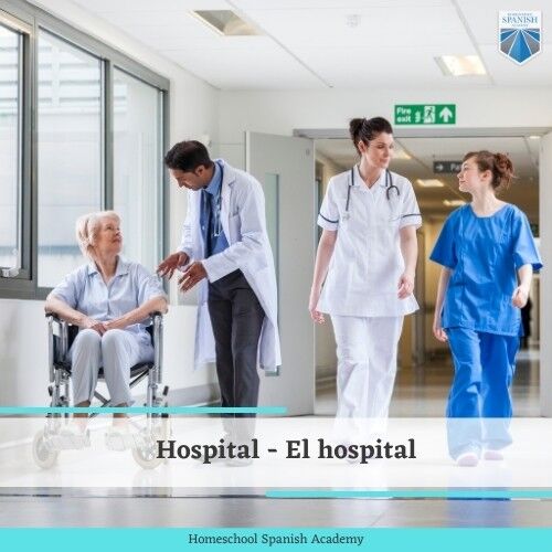 Vocabulary Guide: At the Hospital in Spanish