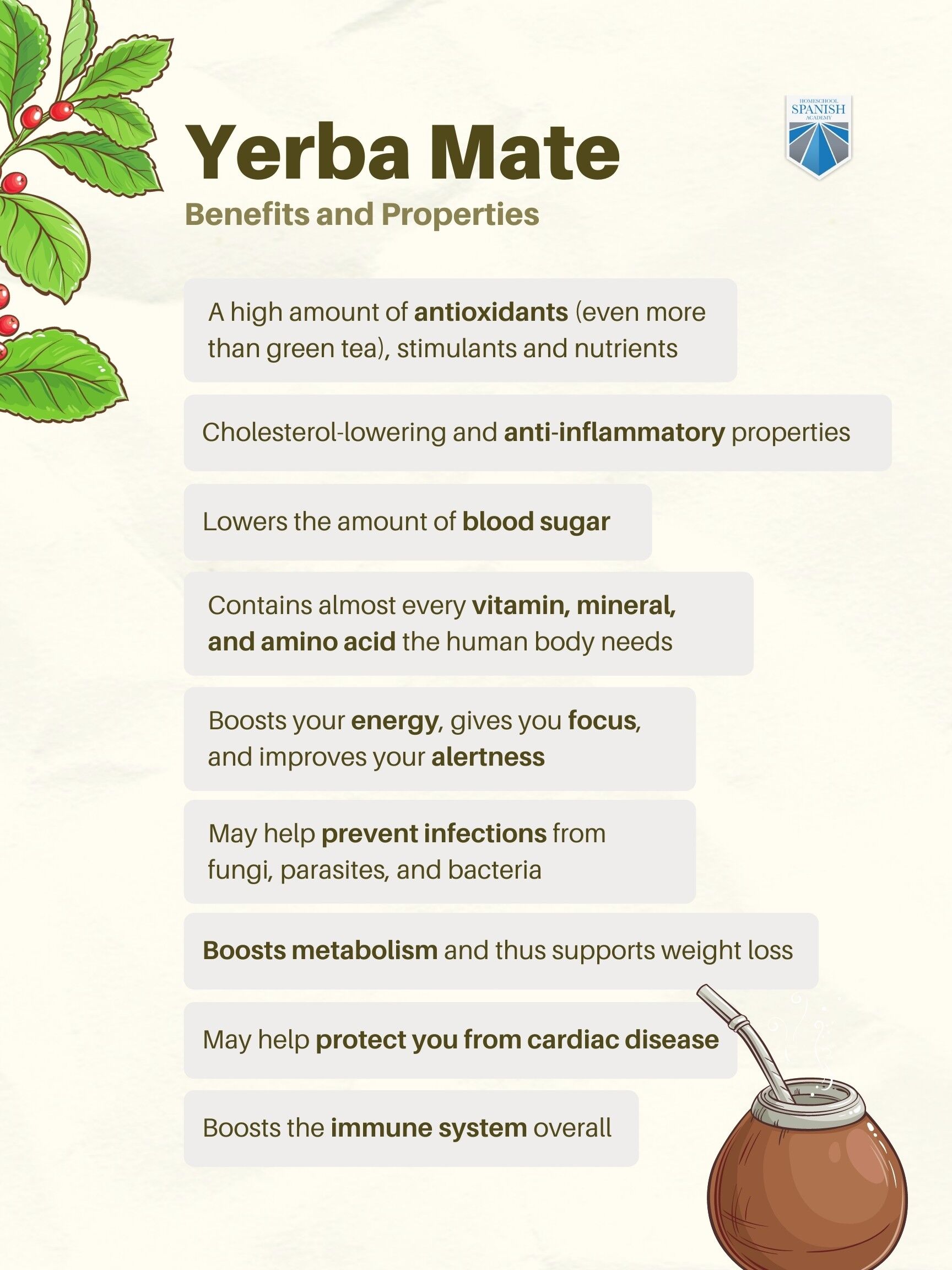 All About Yerba Mate: Argentina’s National Drink
