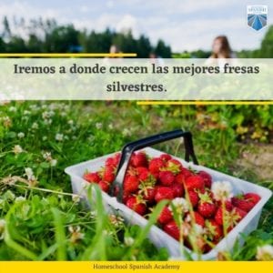 Master the Difference Between Donde and Adonde in Spanish