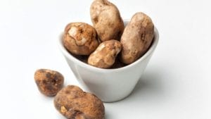 18 Weirdest Foods You Can Eat in Latin America