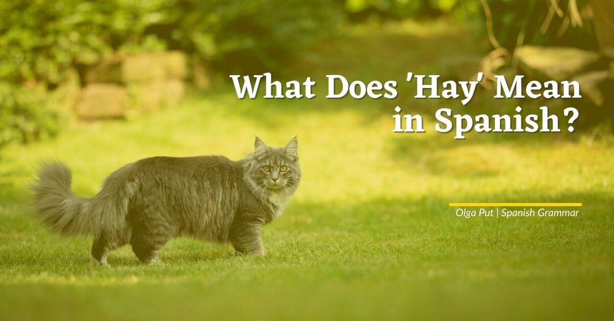 What Does 'Hay' Mean in Spanish? (And When to Use 'Está' Instead)
