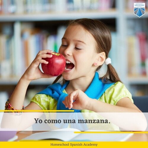 A Simple Guide to Spanish Sentence Structure and Order