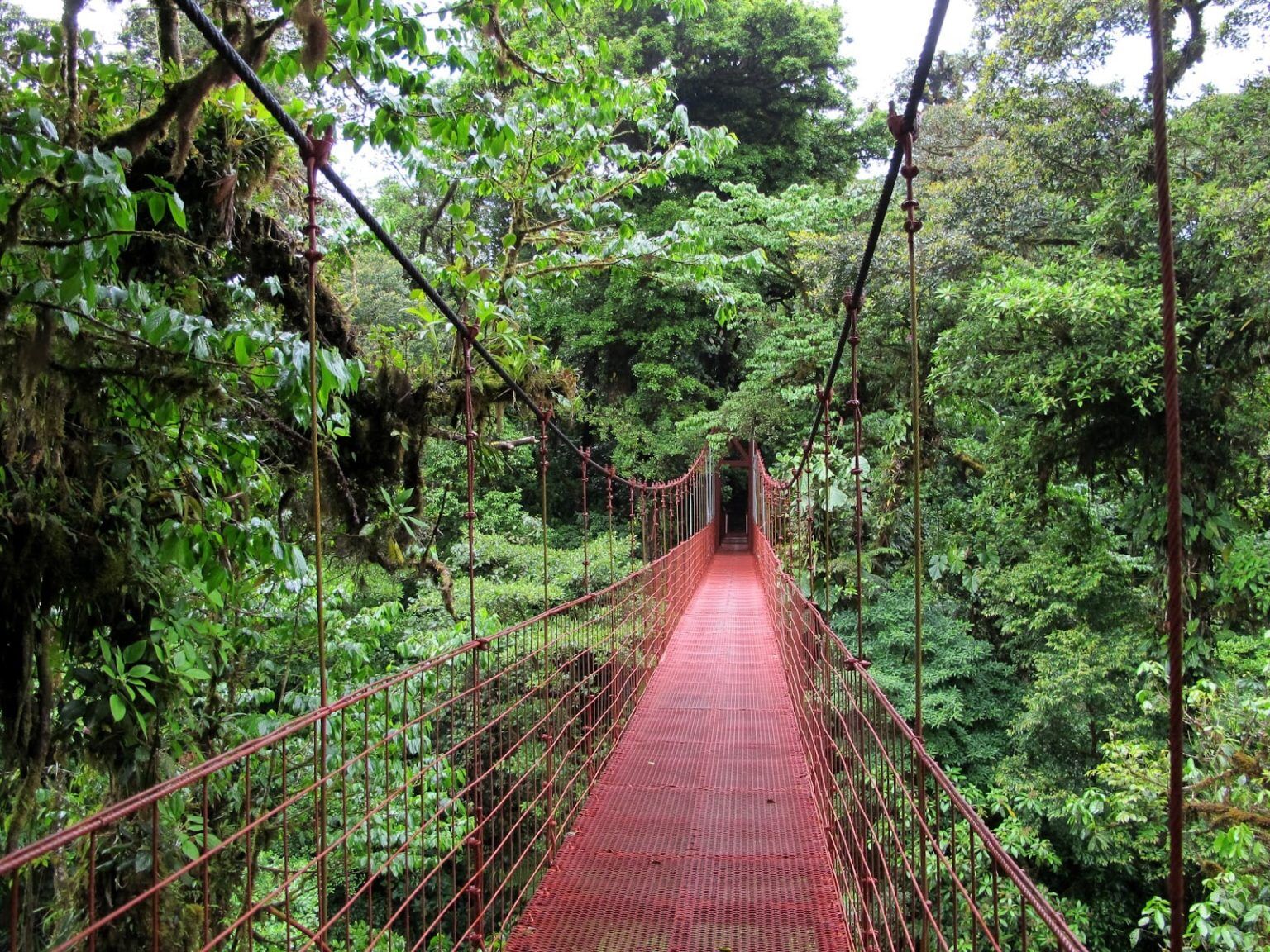 Top 10 Best Hikes in Costa Rica for Adventurous Travelers
