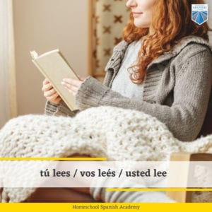 Learn to Use Voseo: Vos in Spanish