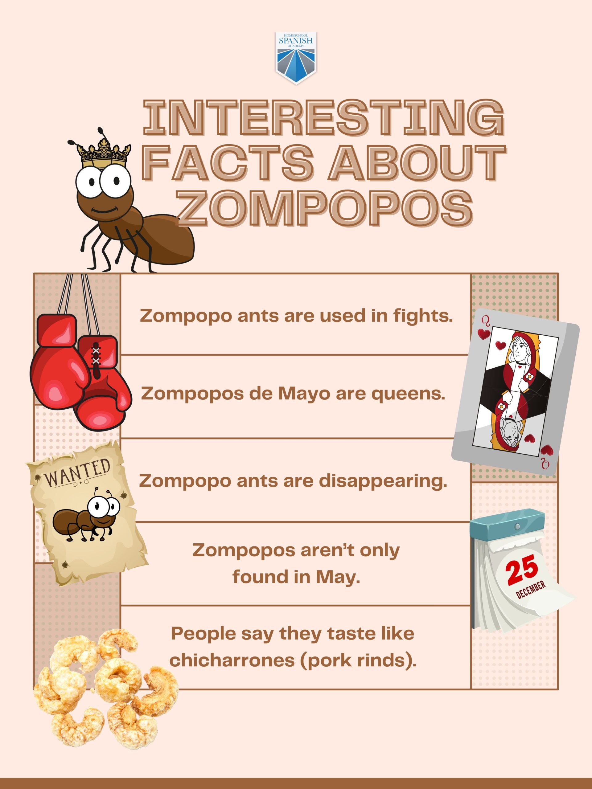 Zompopos de Mayo: Insect (and Food!?) of Latin America