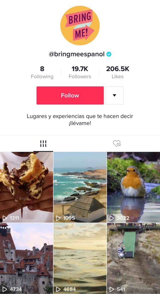 10 TikTok Accounts to Follow If You're Learning Spanish