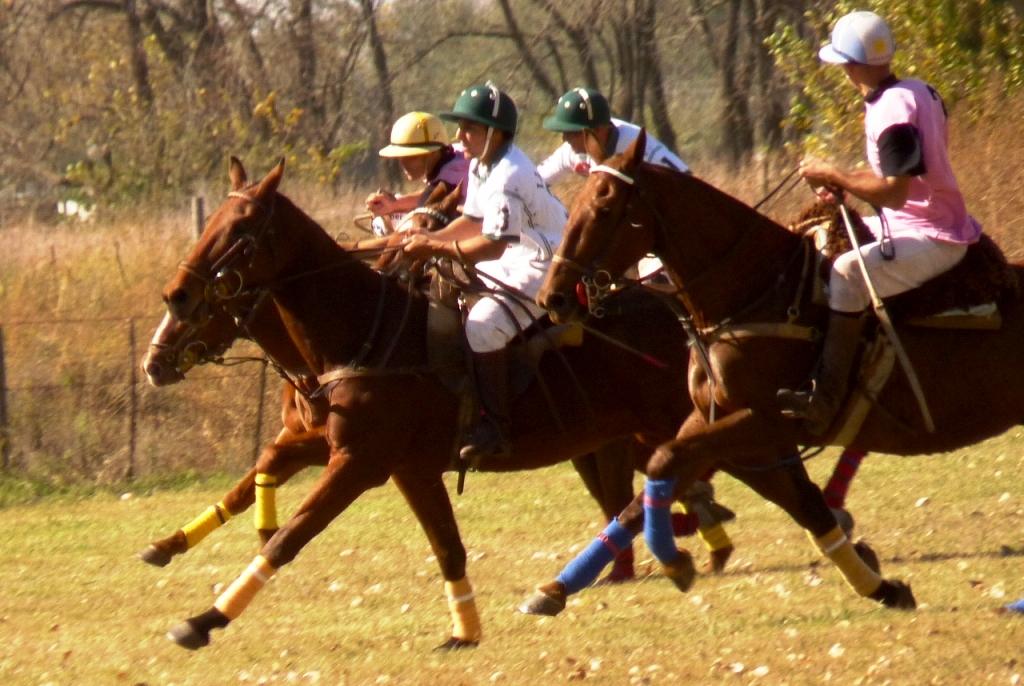 9 Quirky Facts About Pato: Argentina's National Sport