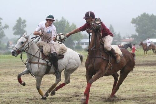 9 Quirky Facts About Pato: Argentina's National Sport