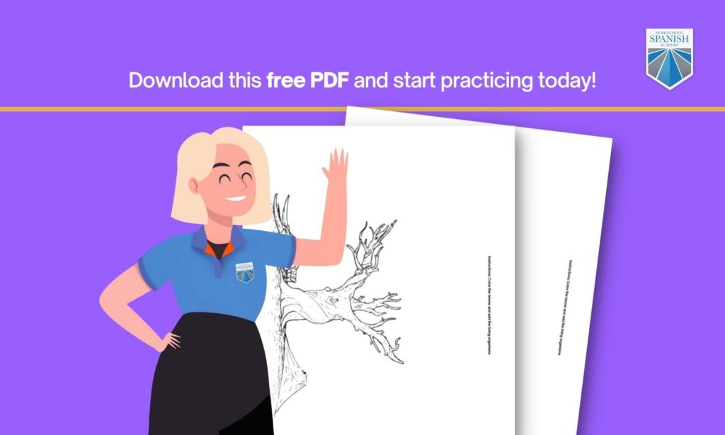 Understanding Biomes and Habitats (Free Spanish Lessons for Kids)