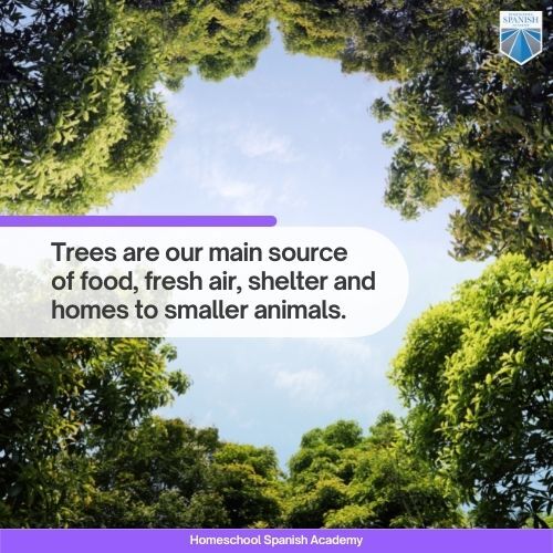 Nature Printables and Activities (Free Spanish Lessons for Kids)