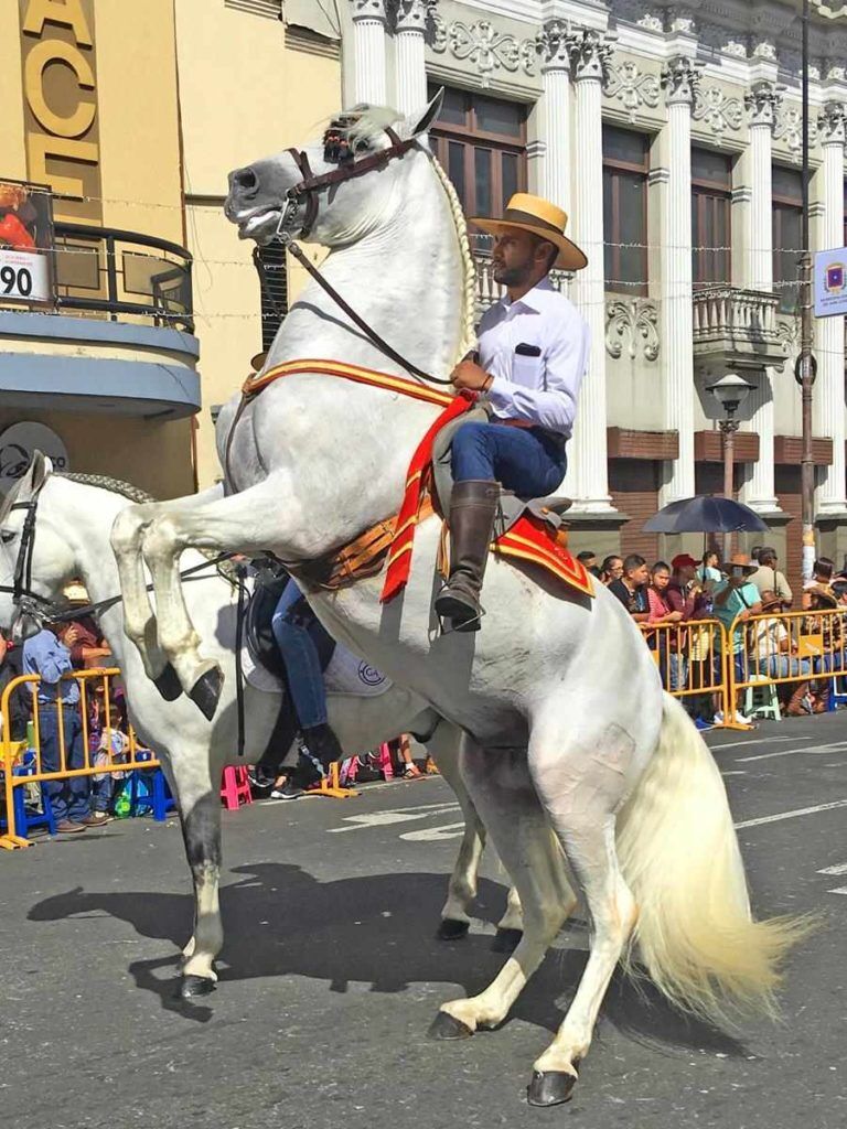 El Tope: Costa Rica's Famous Horse Parade