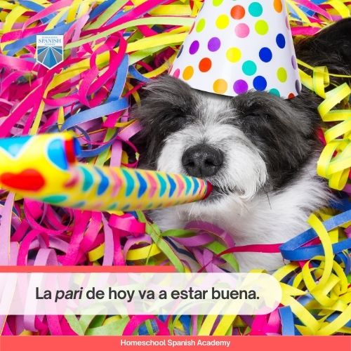 35 Funny Spanglish Words and Example Sentences