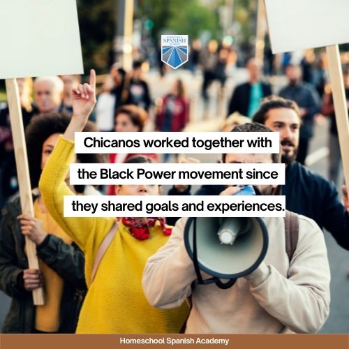 8 Inspiring Ways the Chicano Movement Changed the United States