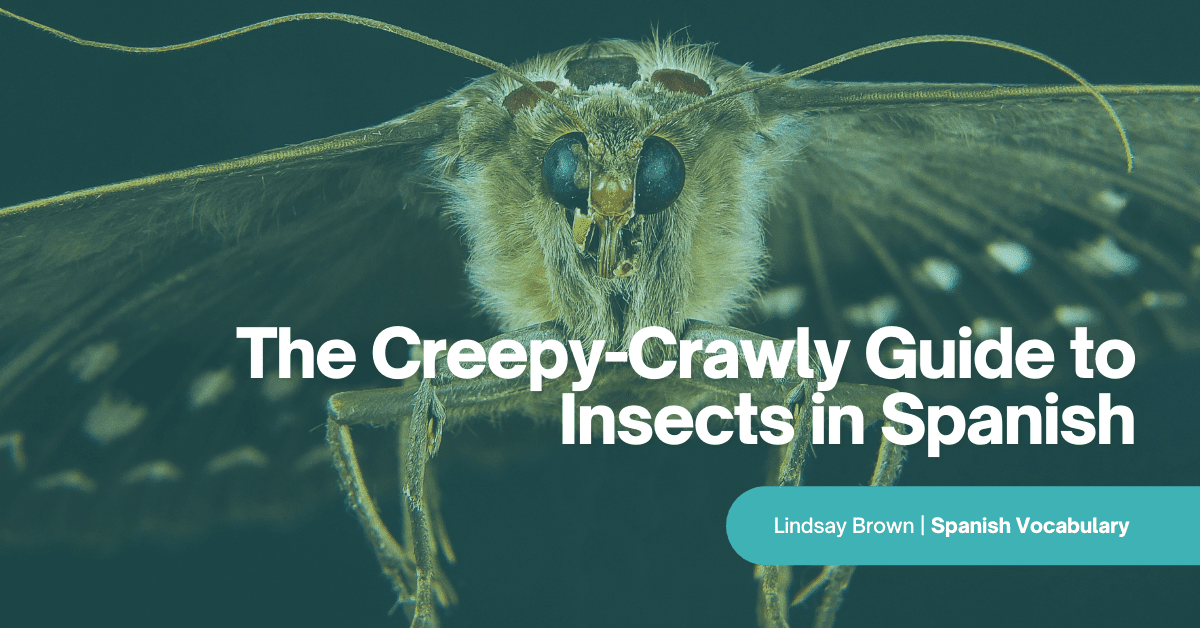 The Creepy-Crawly Guide to Insects in Spanish: Free Printables and More!