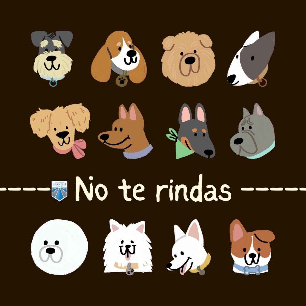 8 Fun Spanish Poems for Kids Who Love Reading