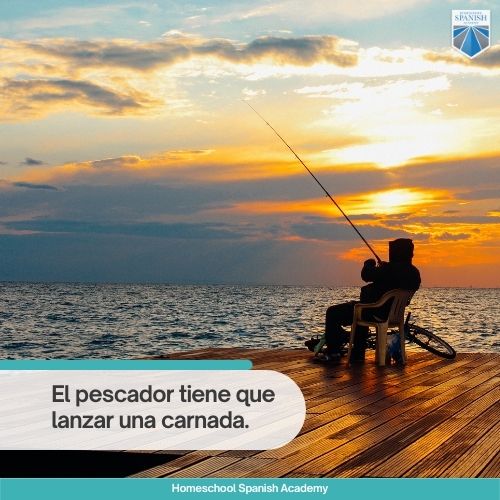 Learn These 20 Types of Fish in Spanish [+ More Vocab]