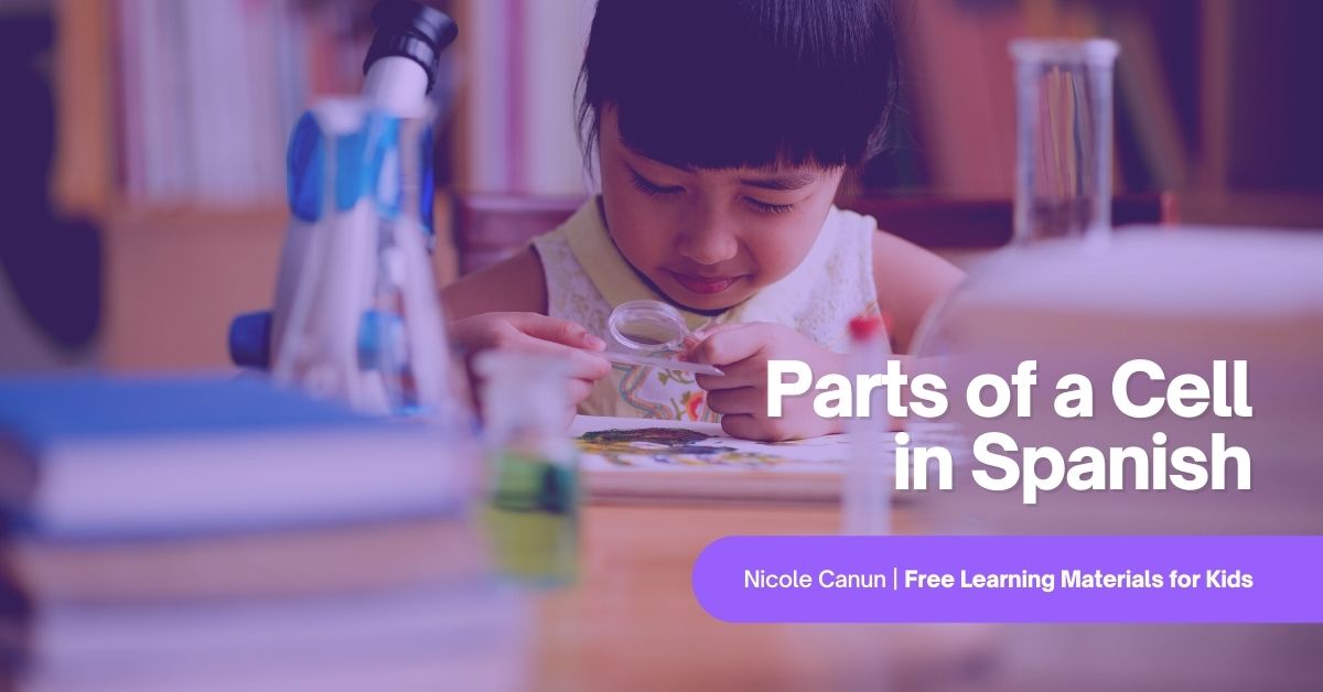 Parts of a Cell in Spanish (Free Spanish Lessons for Kids)