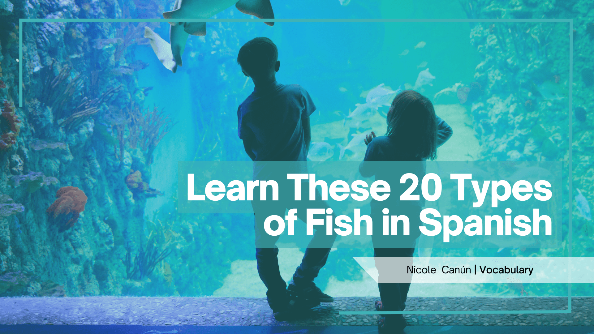 Learn These 20 Types of Fish in Spanish [+ More Vocab]